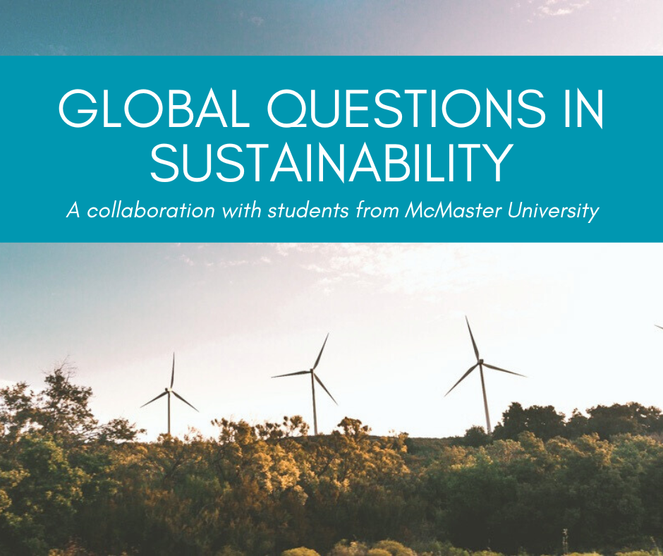 Global Questions in Sustainability 2024 - Dillon Consulting Limited